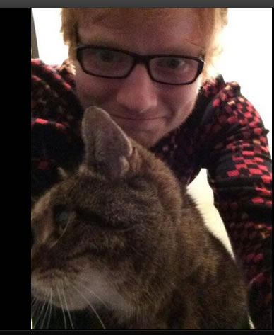 Celebrities and their Pets: Ed and Graham Sheeran - Pet Pics Daily
