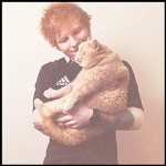 Celebrities and their Pets: Ed and Graham Sheeran - Pet Pics Daily