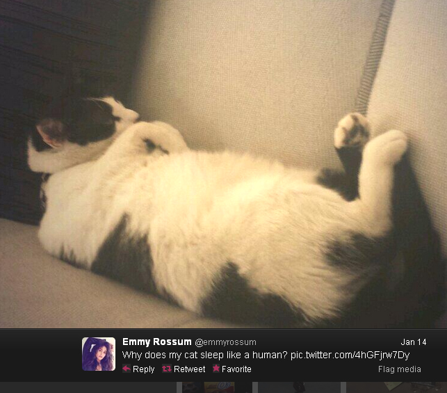 Celebrities and their pets: Emmy Rossum and Fiona G. Kitty - Pet Pics Daily