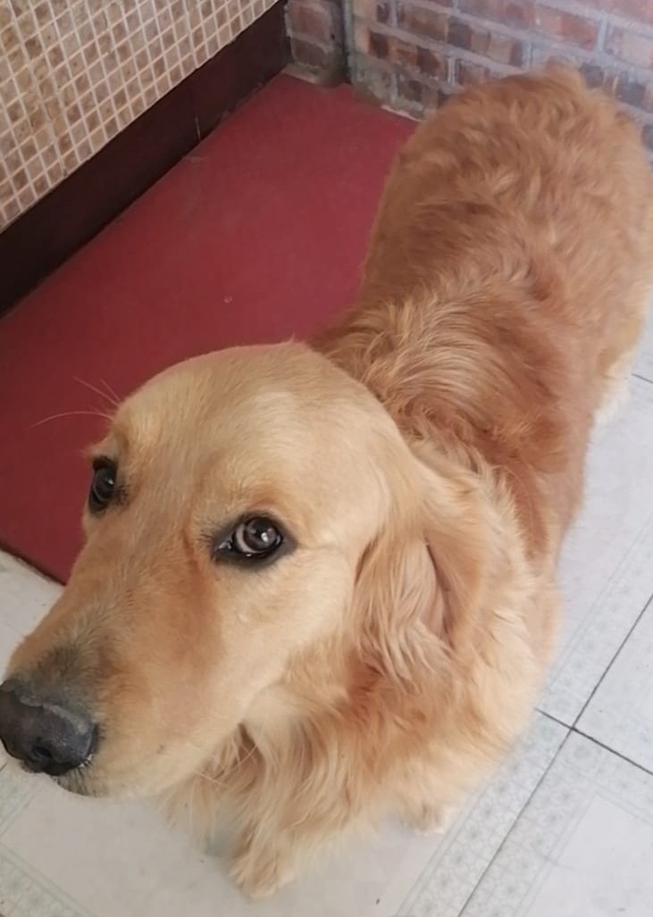 Pet Pic Of The Day - Huck - Pet Pics Daily